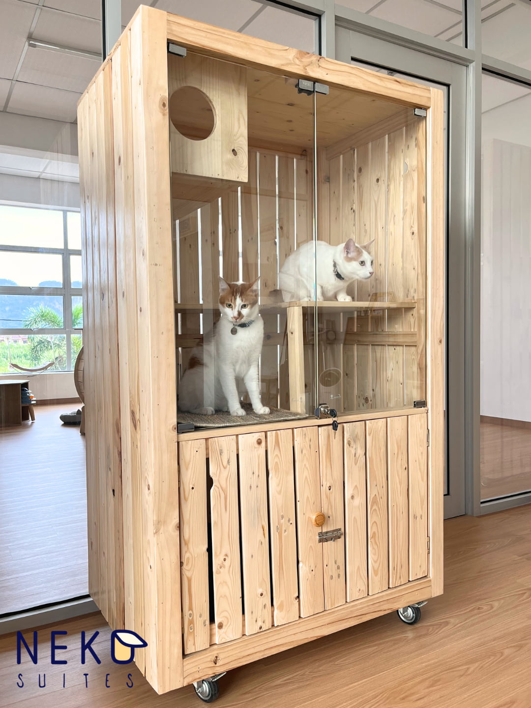 Accommodation - Neko Suites Cat Hotel